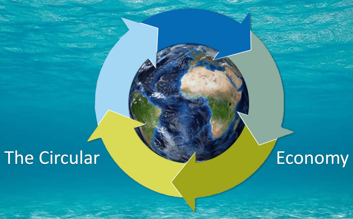The Circular Economy