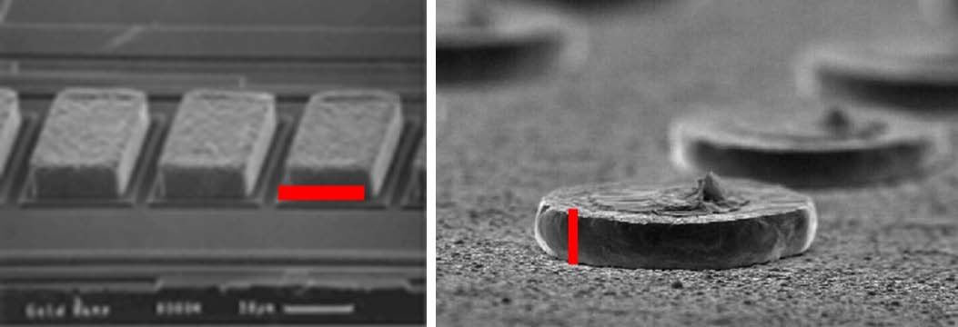 Gold Bump Technologies: Plating versus Ball