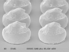 Capabilities for Gold Ball Bumping Die